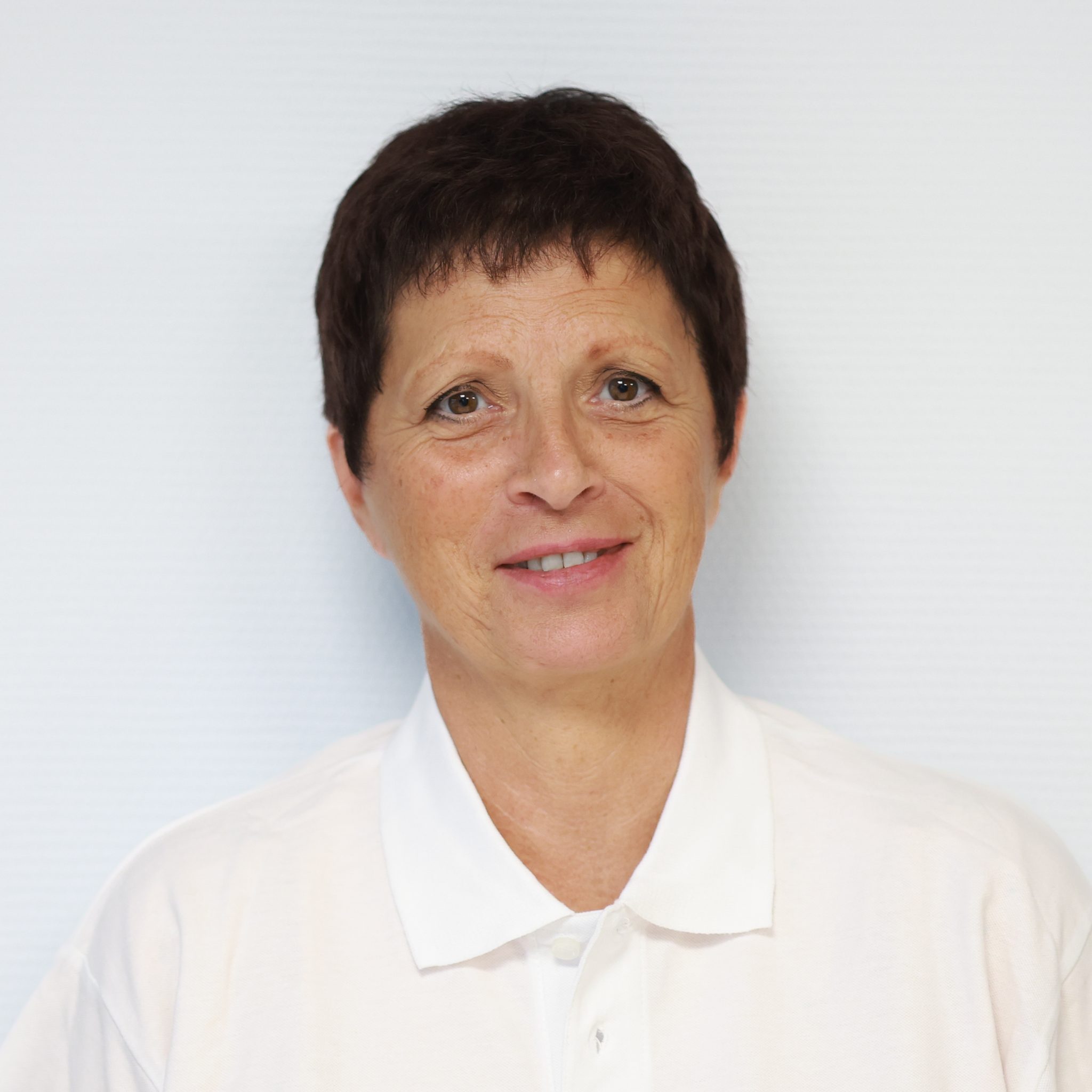 Le Comite – Comite Basketball du74